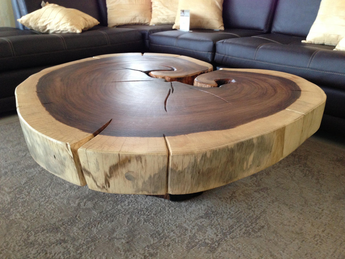 ¿Qué es la Parota? – Casa Latina