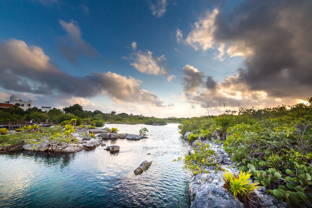 Riviera Maya: Yal Kú, para olvidarse del sargazo – Casa Latina