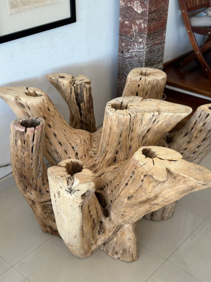 Raices / Roots – Casa Latina